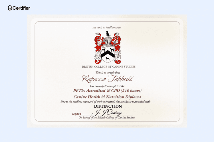 25+ Free Certificate Examples to Get You Started